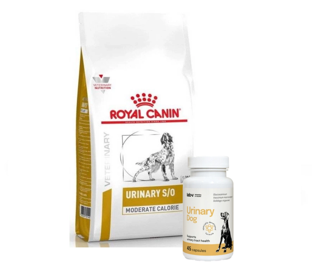 ROYAL CANIN Urinary S/O Moderate Calorie UMC 20 12kg + LAB-V Urinary ...