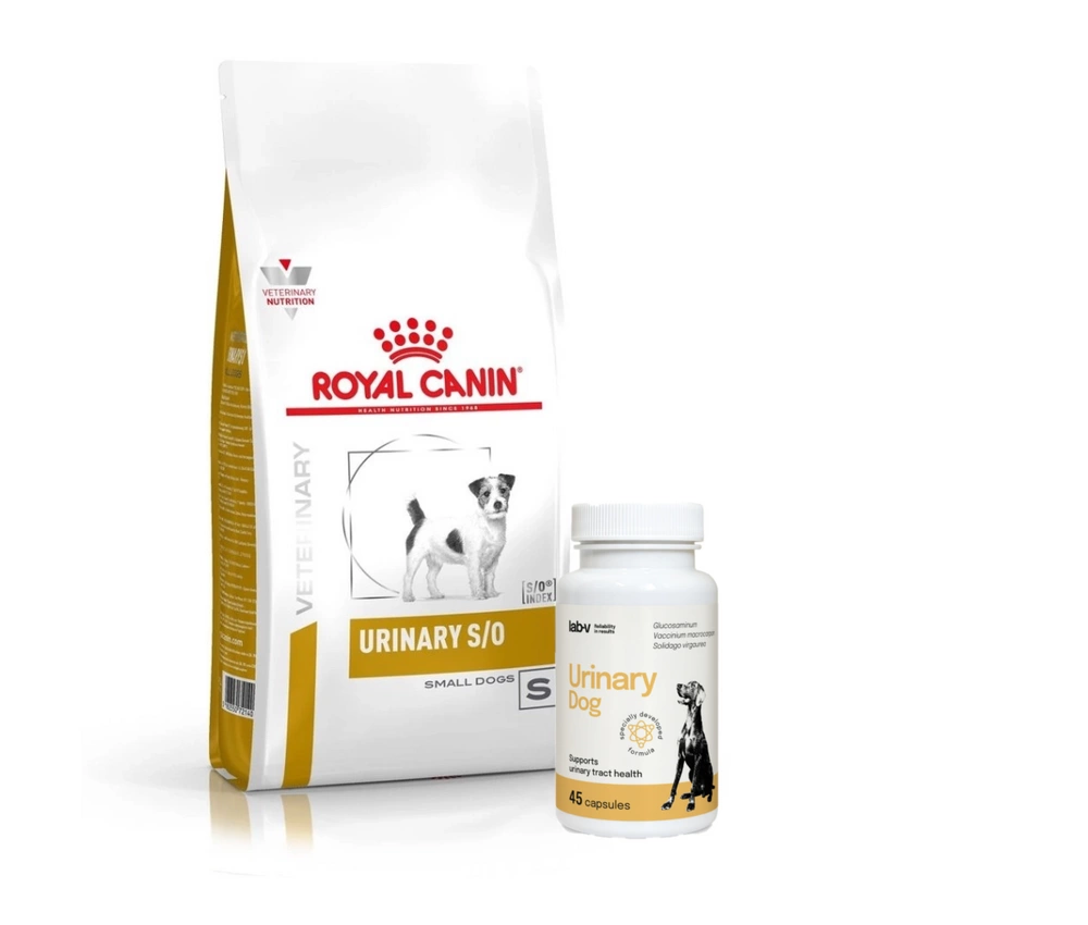 ROYAL CANIN Urinary S/O USD 20 Mažas šuo 4kg + LAB-V Urinary Dog ...