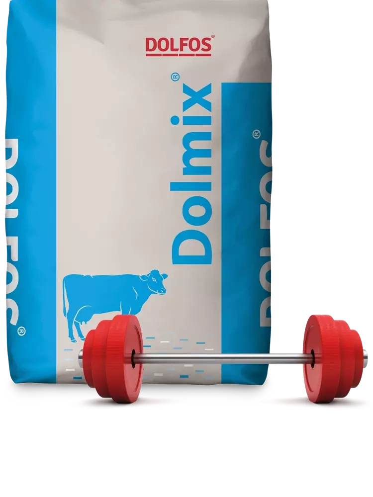 DOLFOS Dolpower 1kg | Gyvūnų prekių internetinė parduotuvė ZooKaralyste